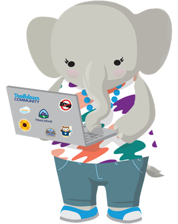 MEET THE MEMBERS OF THE SALESFORCE FAMILY