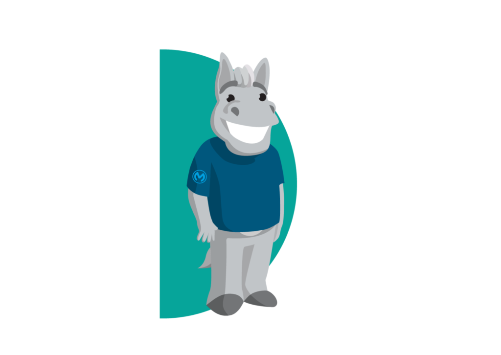 MEET THE MEMBERS OF THE SALESFORCE FAMILY
