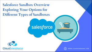 Salesforce Sandbox Types: Which One Is Right For You?